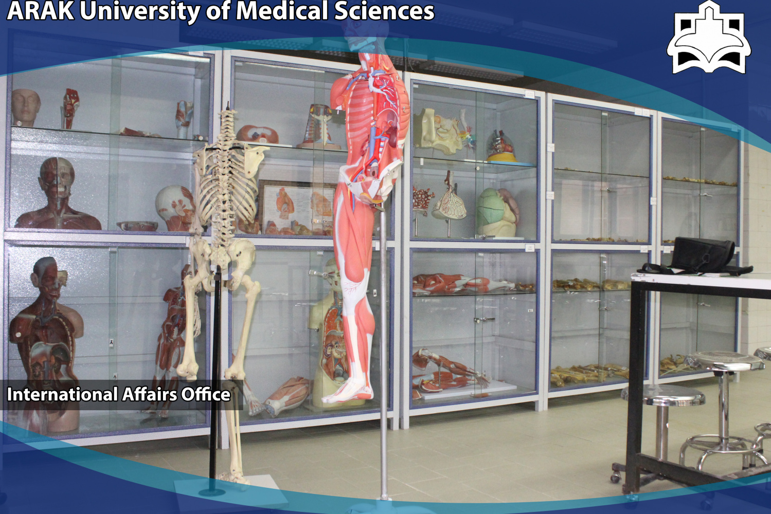 Arizona State University Anatomy Lab